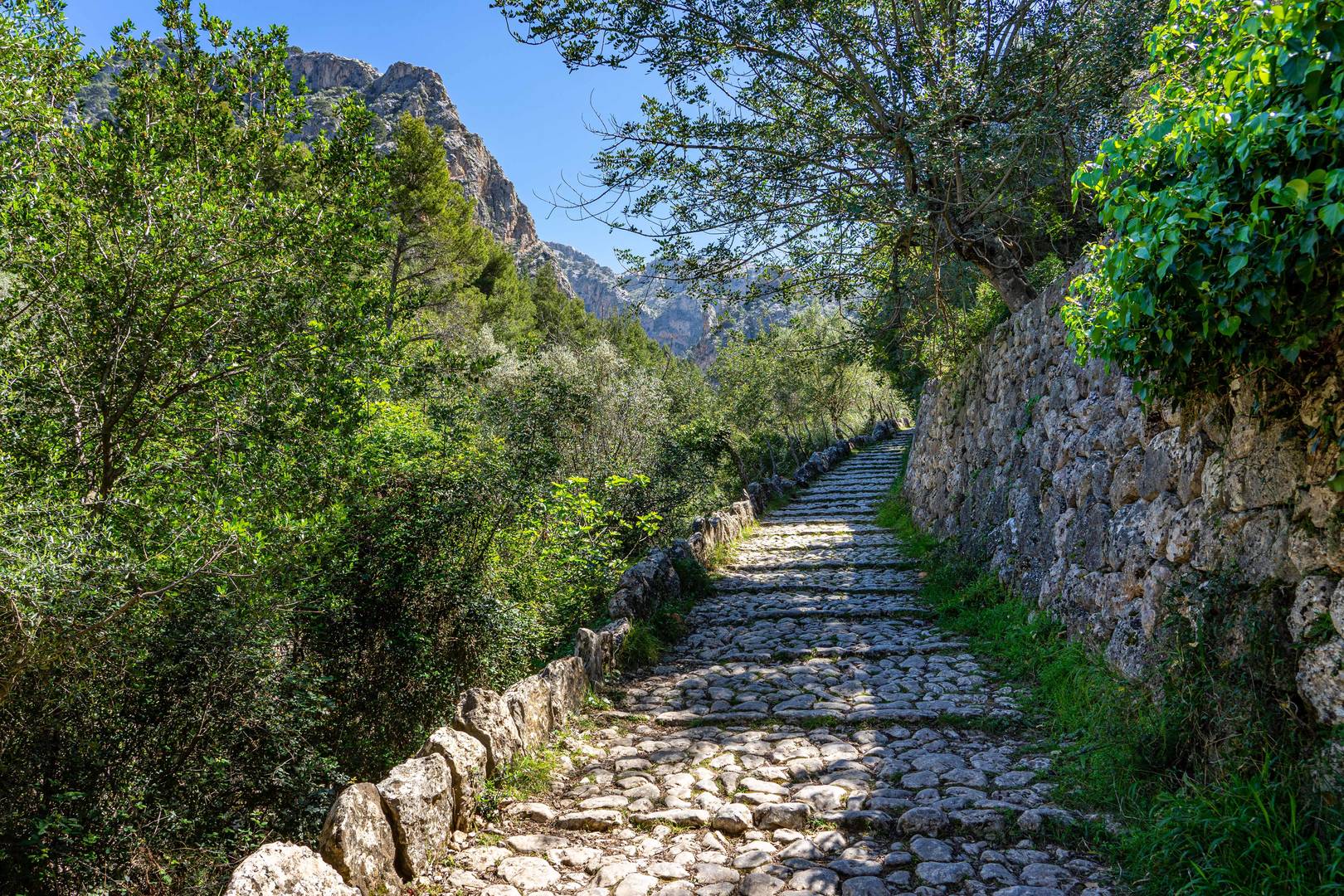 Soul stirring hikes through the Majorcan mountains | Jumeirah