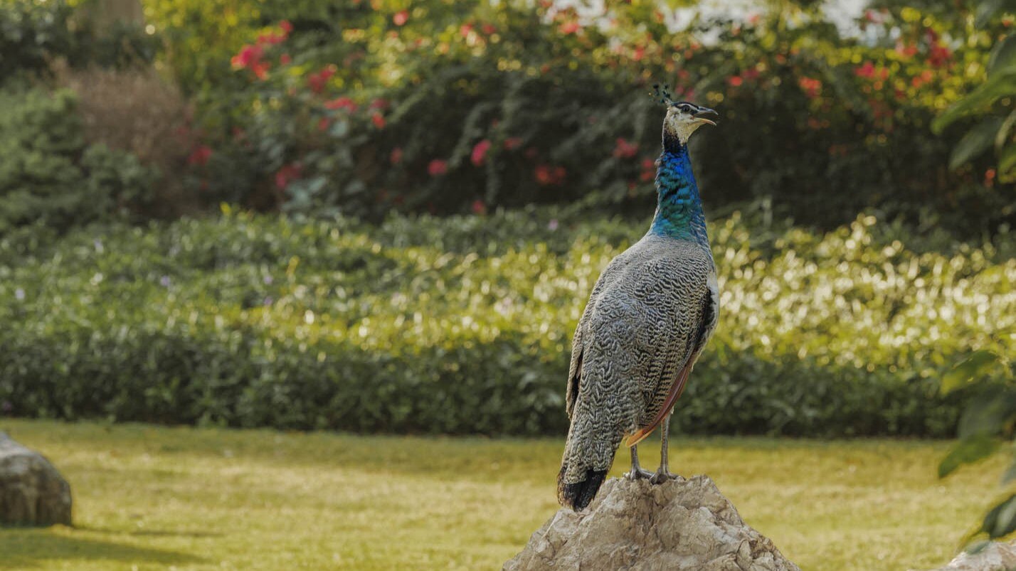 Sustainability Initiatives | Jumeirah Emirates Towers