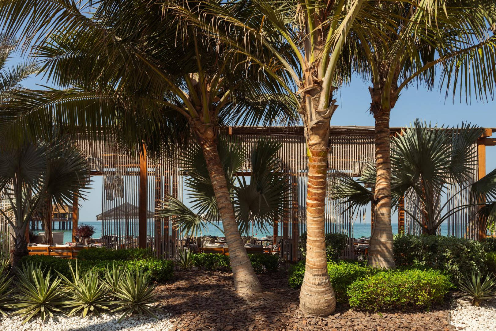 French Riviera Beach | Expérience gastronomique exceptionnelle en bord ...